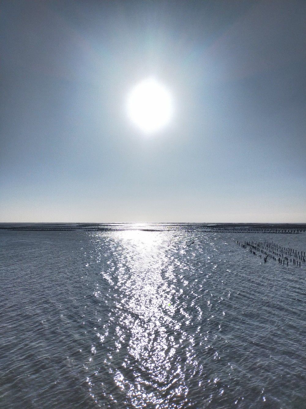 寒假… - Zuvio 校園話題