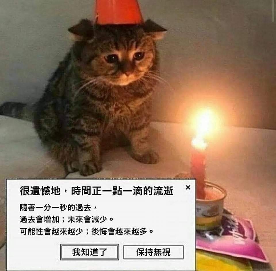 今日趣事 - Zuvio 校園話題