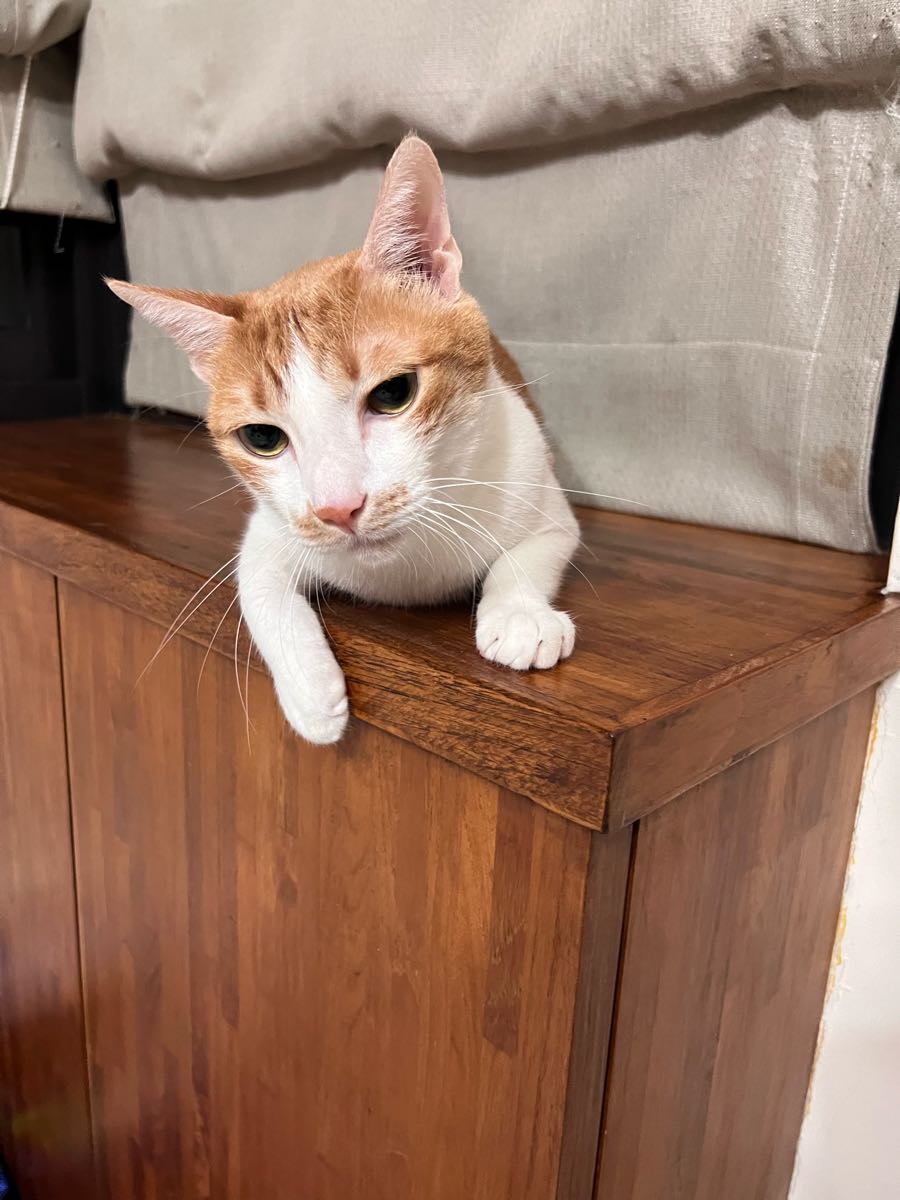 隨緣交友 - Zuvio 校園話題