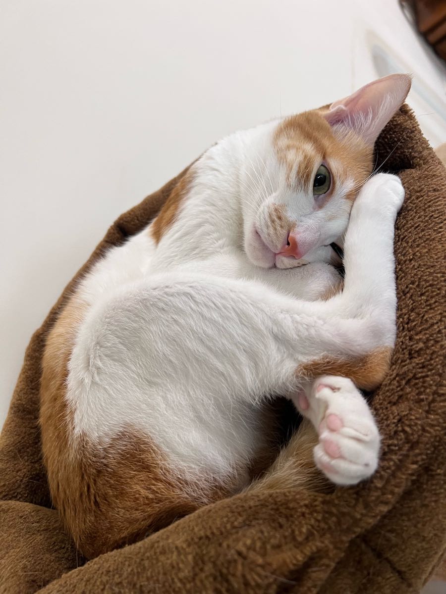 隨緣交友～ - Zuvio 校園話題