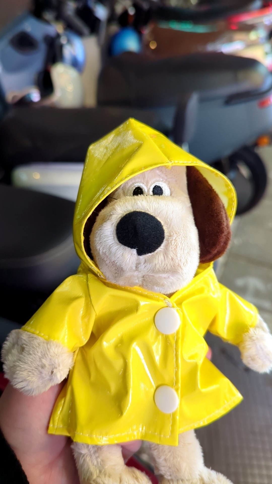 有喜歡香香的朋友嗎 - Zuvio 校園話題